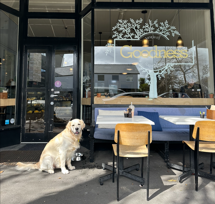 Goodness Cafe Jervois Road